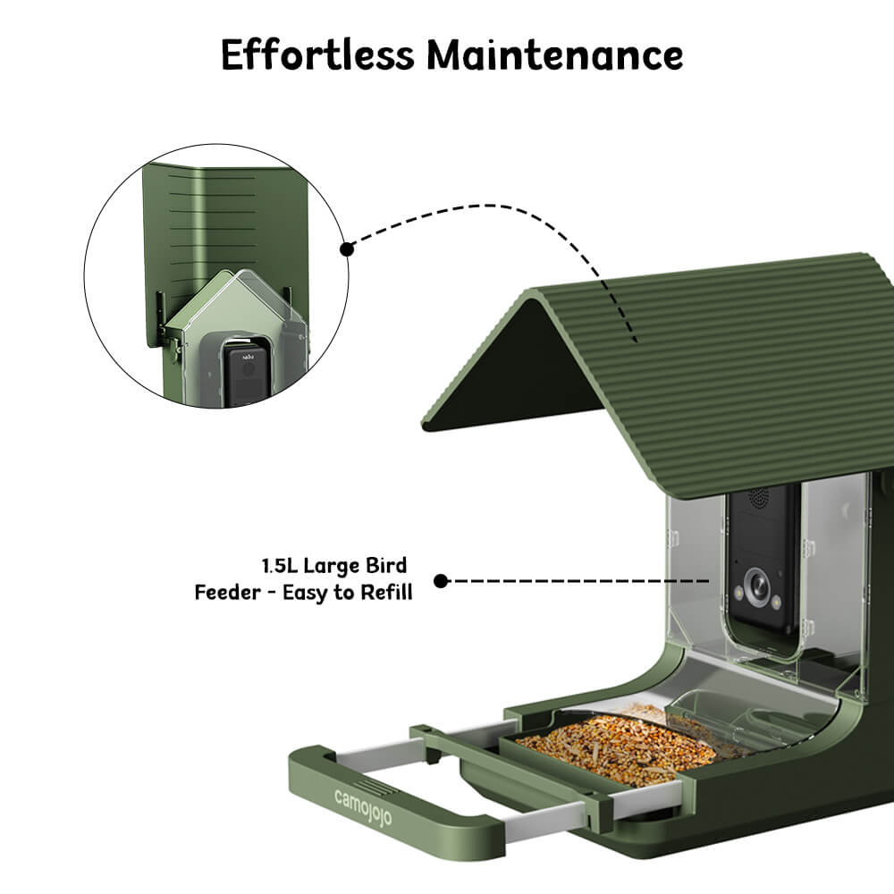 Elevate BirdWatching Experience with Camojojo HiBird Smart Bird Feeder