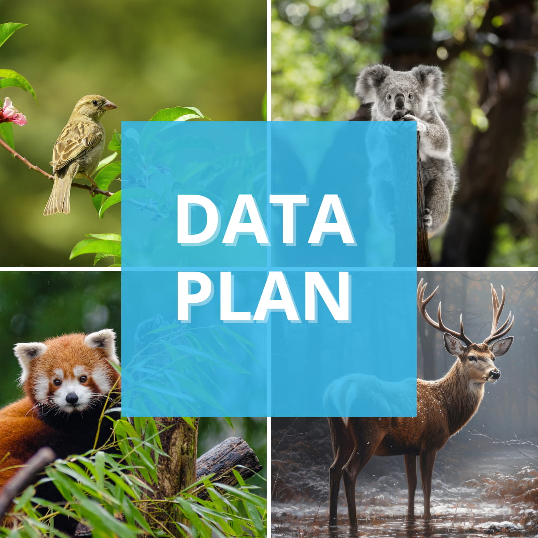 Camojojo Data Plan for Trail Camera