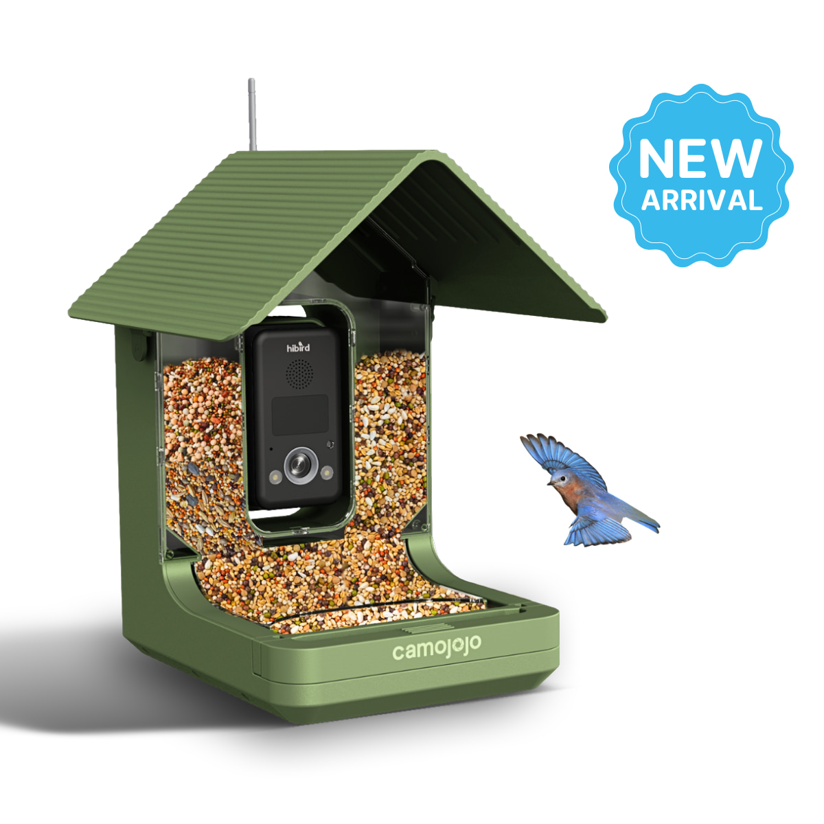 4K Smart Bird Feeder with Camera-AI-Powered Birding Experience