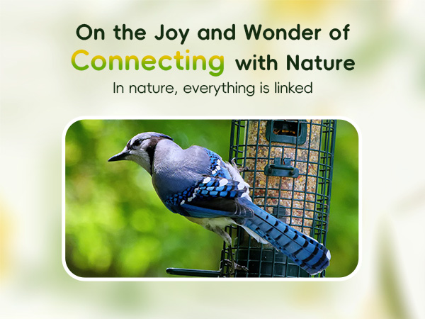 Hibird 4K HD Smart Bird Feeder Camera Solar Powered, 2.4G/5G Dual WiFi ...