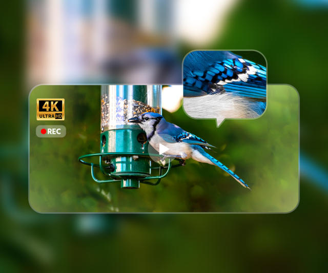 Hibird 4K HD Smart Bird Feeder Camera Solar Powered, 2.4G/5G Dual WiFi ...