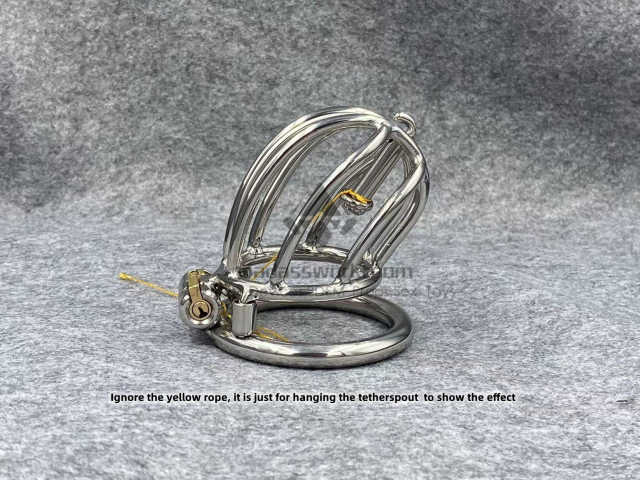 BA-28T,Custom Chastity Cage