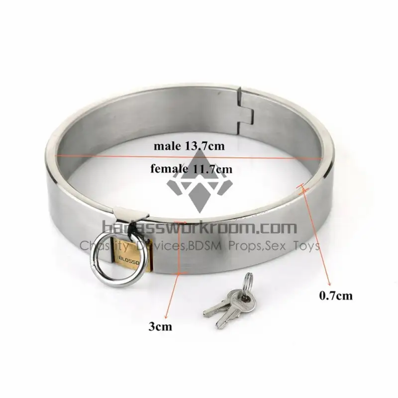 Integrated Padlock Steel BDSM Collar 3CM Height,Steel Bondage Gear