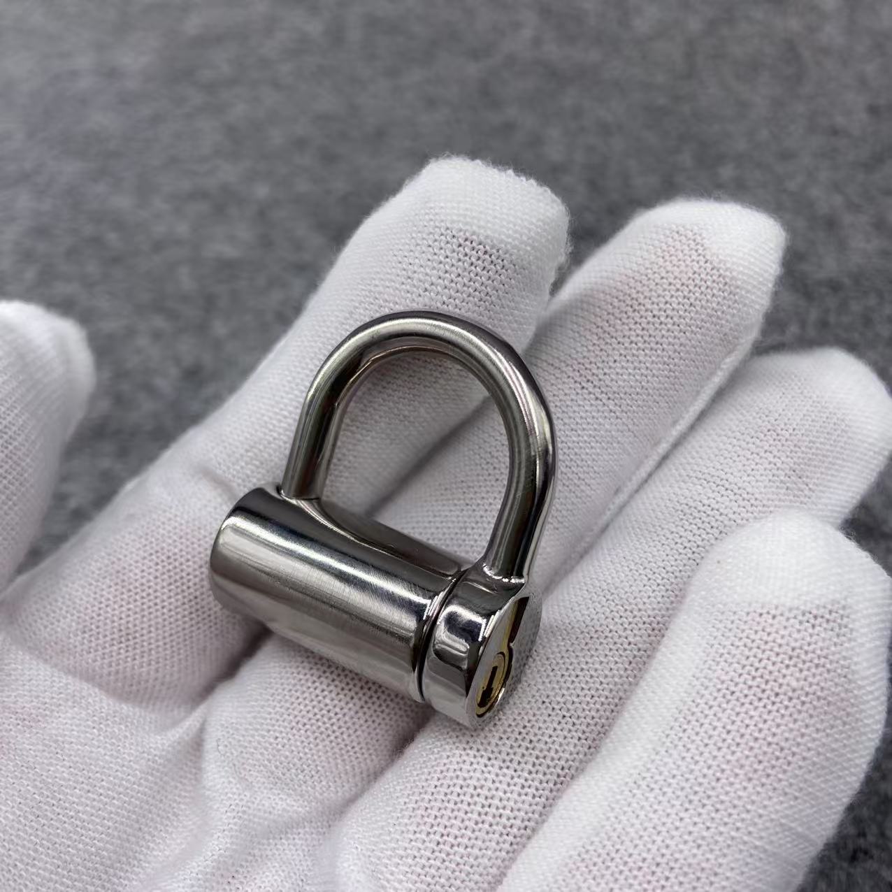 Titanium D Shape PA Lock