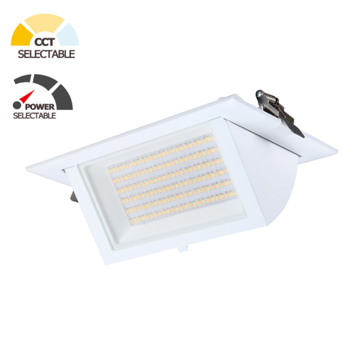 CCT & Power Selectable Rectangular LED Downlight Factory, 20W 38W 48W ...