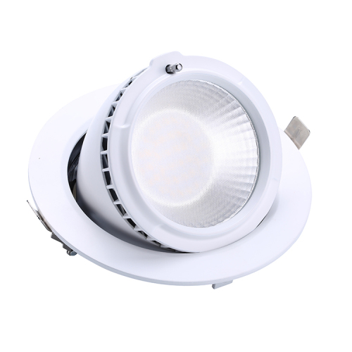 Gimbal LED Down Light Factory, 20W 30W 40W Gimbal LED Spotlight ...