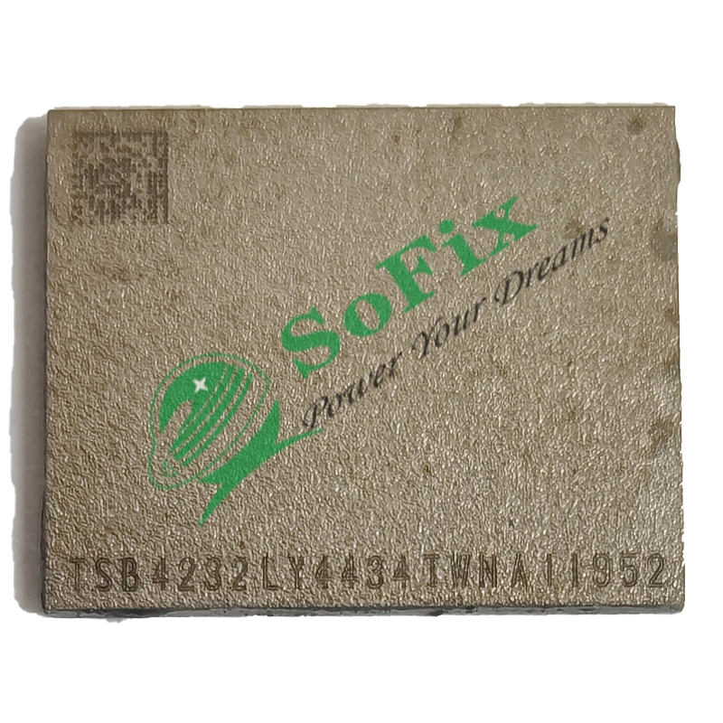 A2442 NAND SSD Chip MacBook Pro 14inch M1 Pro