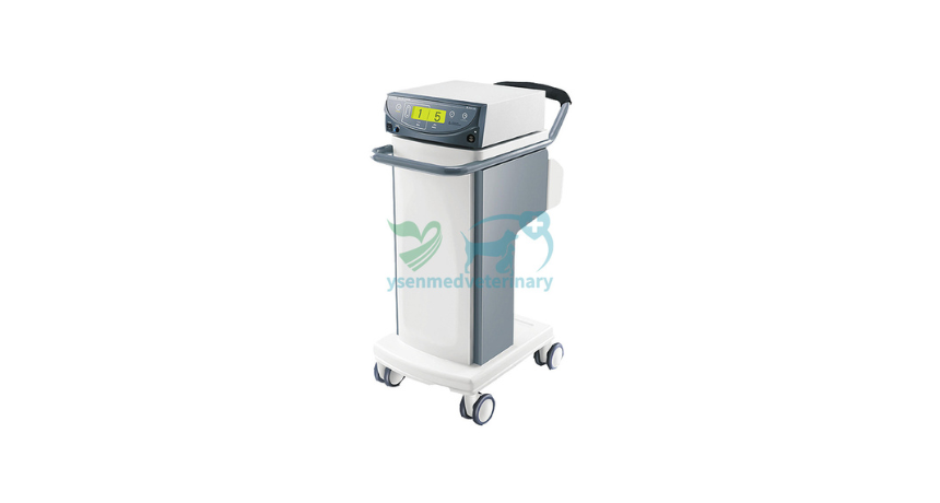 From Films to Images: The Evolution of Radiography with Automatic X-Ray ...