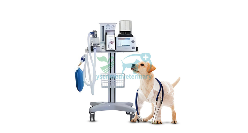 Choosing the Right Veterinary Anesthesia System: A Vet's Ultimate Guide