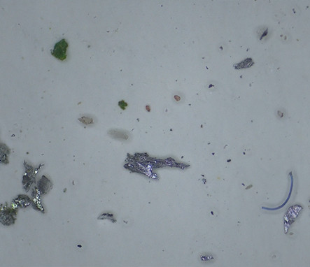 Technical Cleanliness Inspection and Analysis Expert|JETBLUE CleanTec