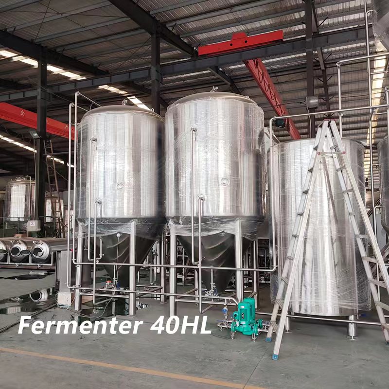 Fermenter 40HL,031-1000L fermenter