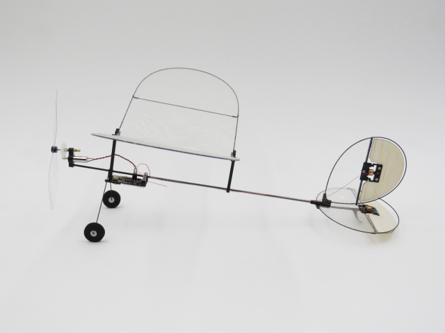 Hummingbird Micro Indoor RC Airplane,