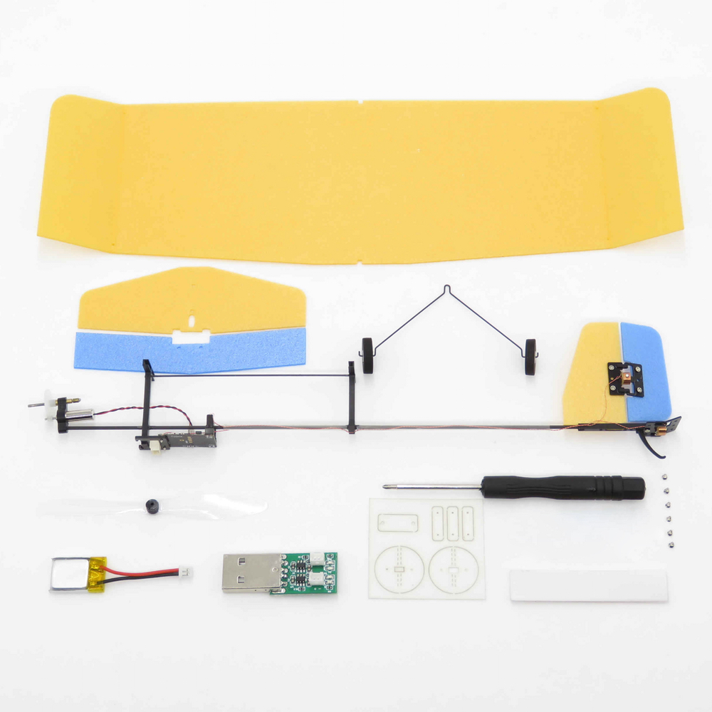 Bumble Bee Micro Indoor RC Airplane,