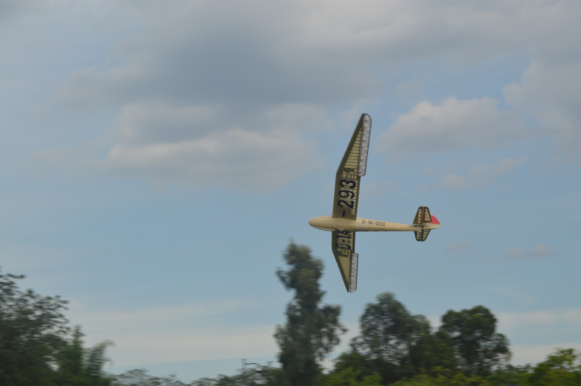 Mini Moa kit 1422mm Magnificent Old School Glider Tony Ray's Masterpiece