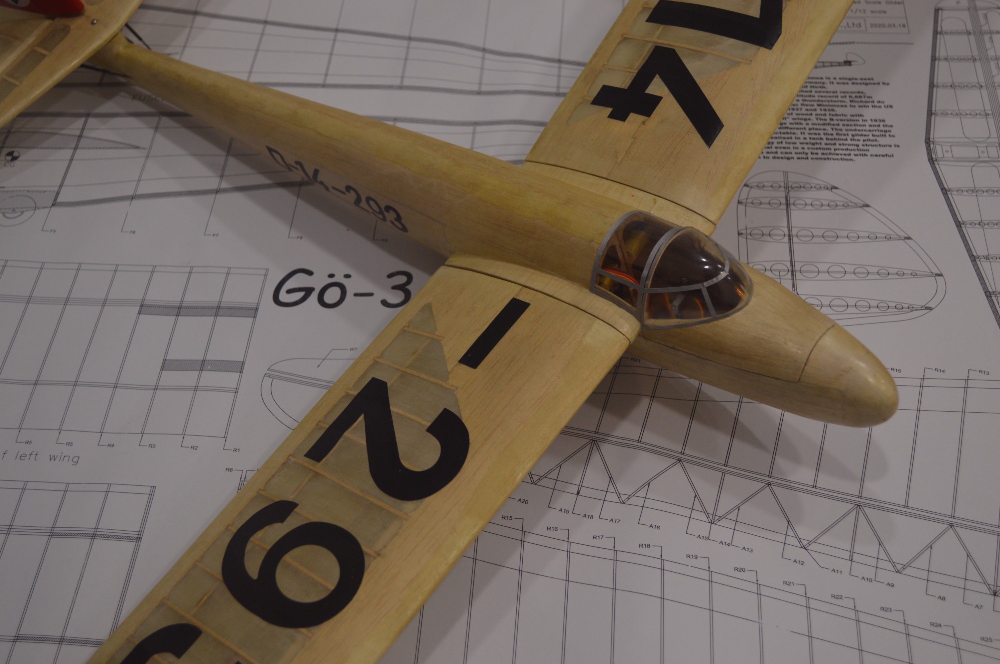 Mini Moa kit 1422mm Magnificent Old School Glider Tony Ray's Masterpiece