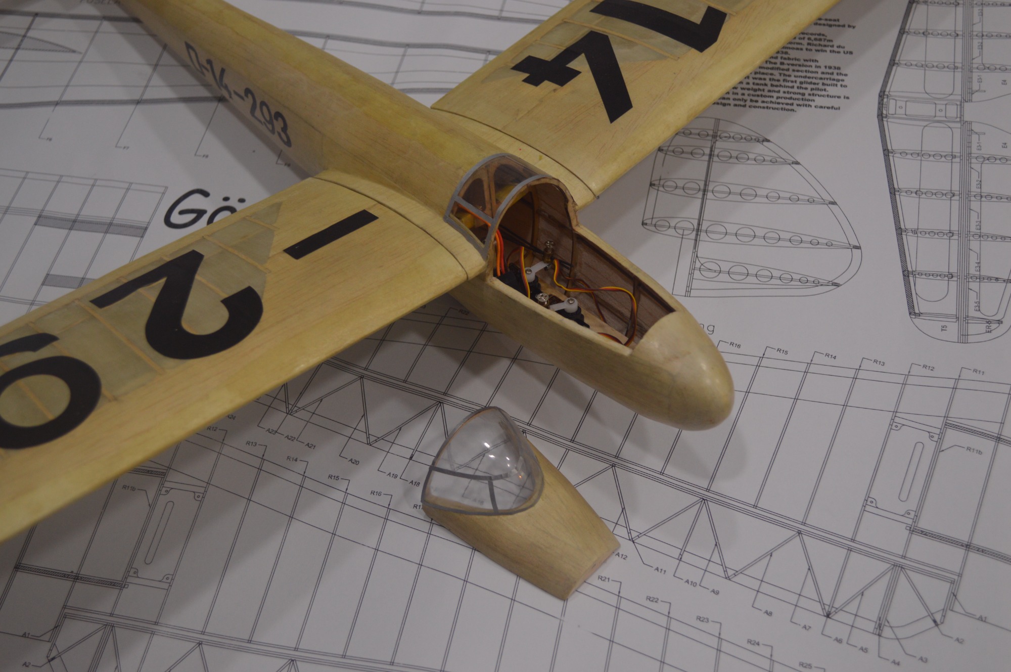 Mini Moa kit 1422mm Magnificent Old School Glider Tony Ray's Masterpiece