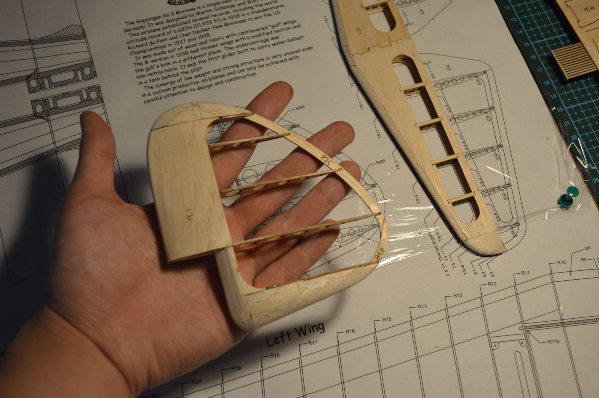 Mini Moa kit 1422mm Magnificent Old School Glider Tony Ray's Masterpiece