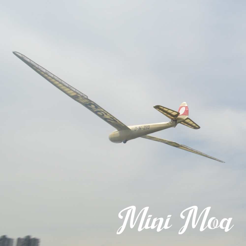 Mini Moa kit 1422mm Magnificent Old School Glider Tony Ray's Masterpiece