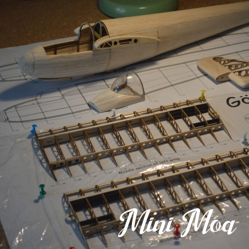 Mini Moa kit 1422mm Magnificent Old School Glider Tony Ray's Masterpiece
