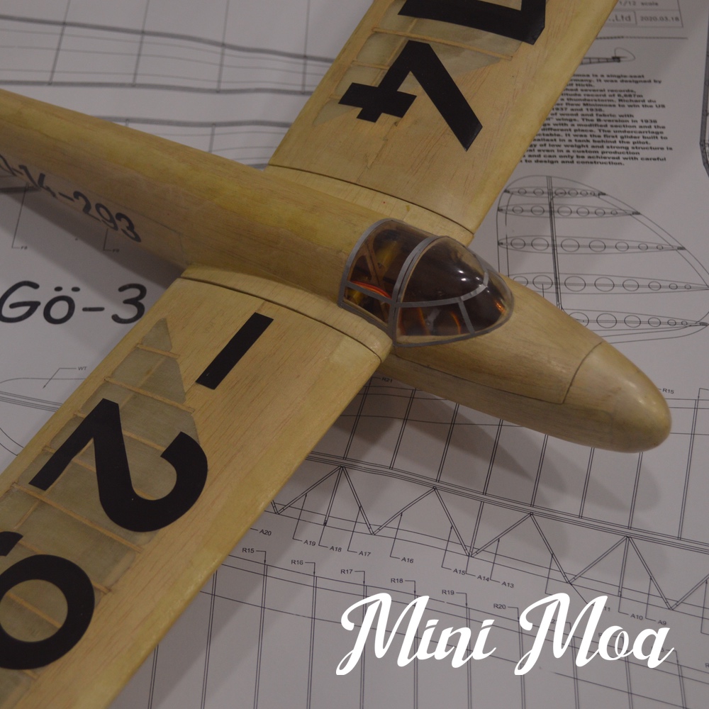 Mini Moa kit 1422mm Magnificent Old School Glider Tony Ray's Masterpiece