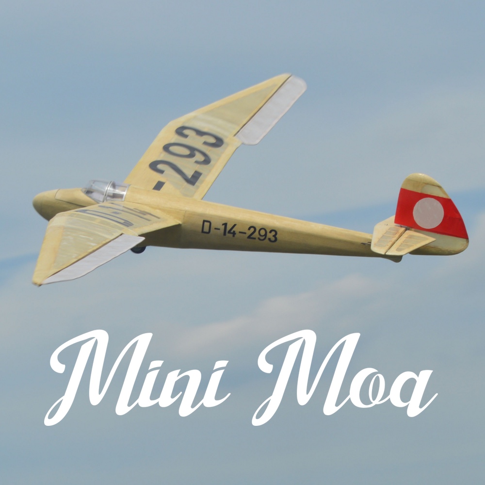 Mini Moa kit 1422mm Magnificent Old School Glider Tony Ray's Masterpiece