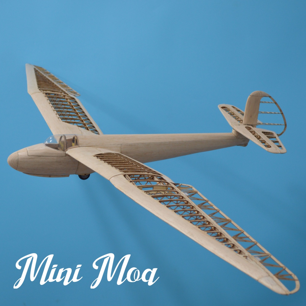 Mini Moa kit 1422mm Magnificent Old School Glider Tony Ray's Masterpiece