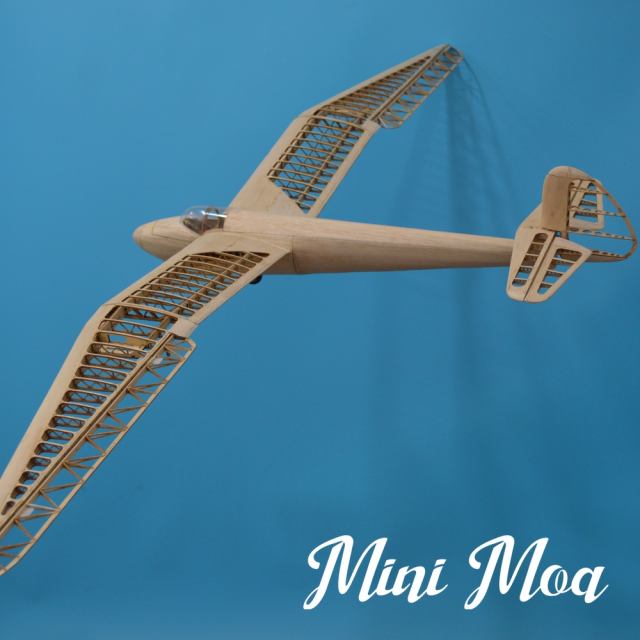 Mini Moa kit 1422mm Magnificent Old School Glider Tony Ray's Masterpiece