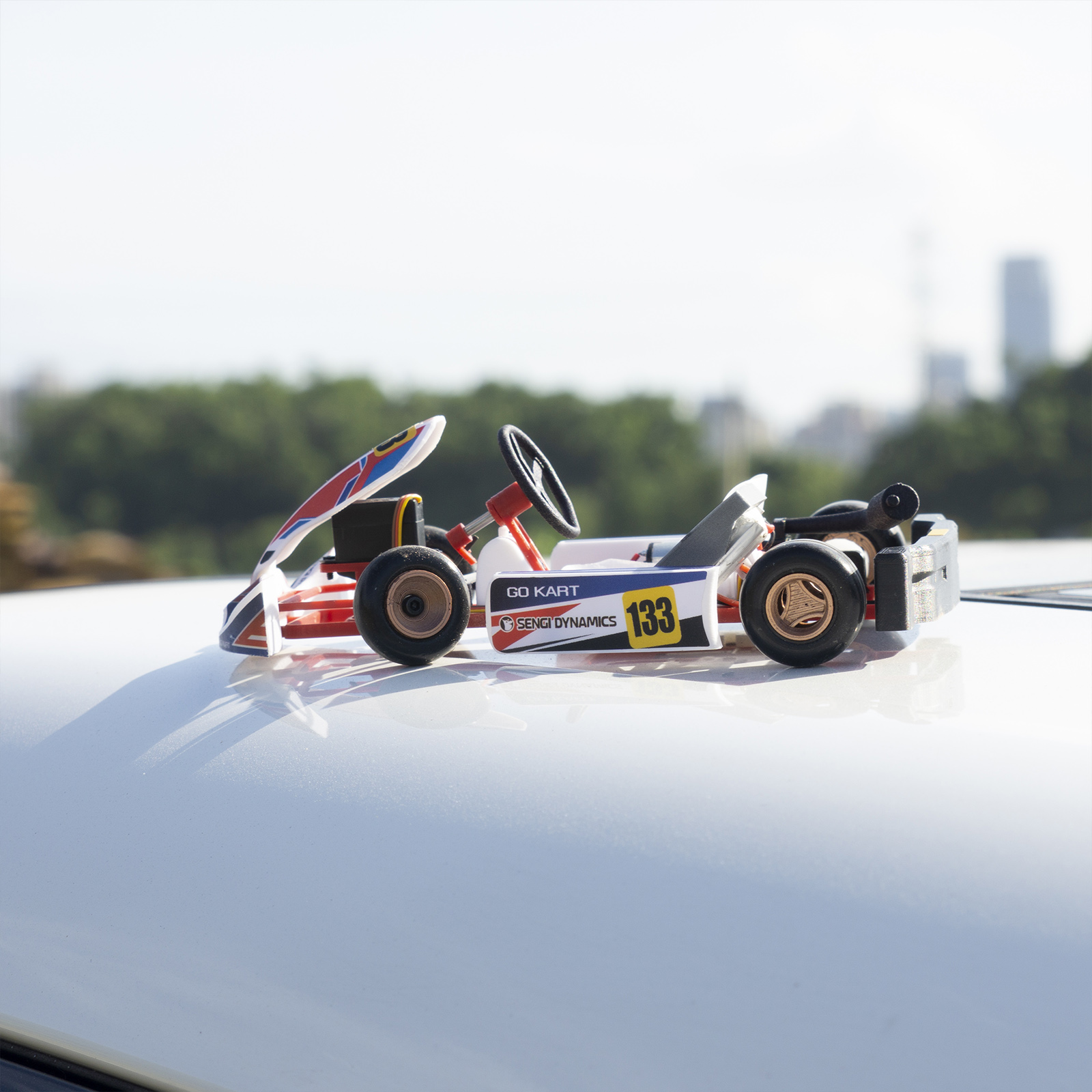 Sengi Kart-80 Micro Scale RC Go Kart