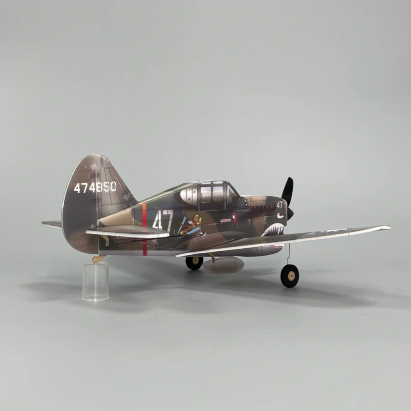 P-40 Flying tigers fighter 4CH 320mm micro RC aircraft