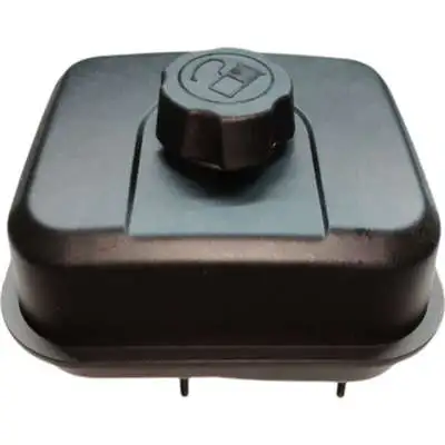 Plastic Fuel Tank Assy. with Cap and Filter Fits For 168F 170F GX160 ...