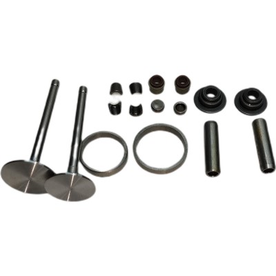 Valves Seats Retainers Stem Oil Seal Spring Clampers 16PC Kit Fits For ...