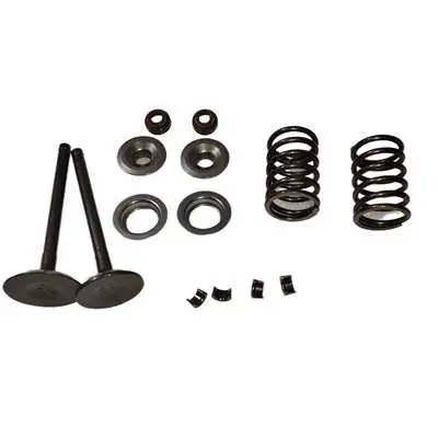 Intake Exhaust Valves Springs Clampers Retainers Stem Oil Seal Set ...