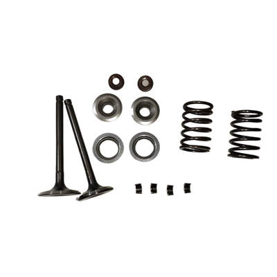 Intake Exhaust Valves Springs Clampers Retainers Stem Oil Seal Set ...