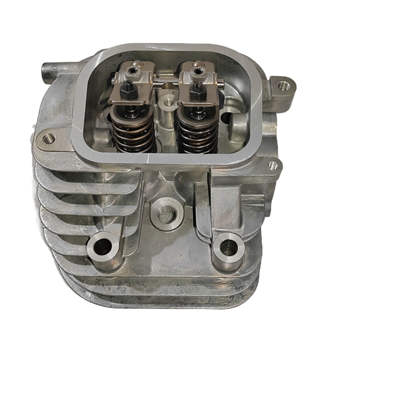 Cylinder Head Complete(Left) With Valves Springs Rockers Assembled For ...