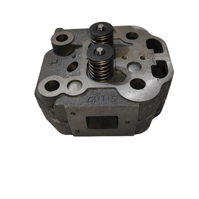 Cylinder Head Complete Assy. With Valves Springs Assembled Fits For ...