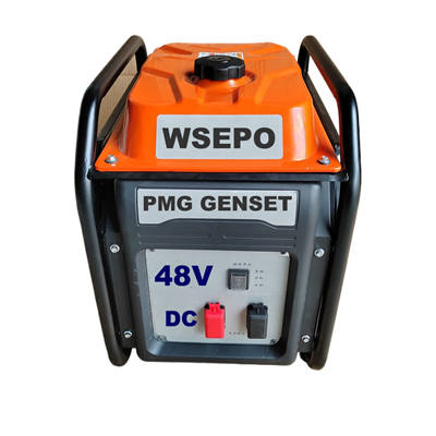 WSE3500IP 3500W PMG DC 48V Open Frame Super Silent Battery Charging ...