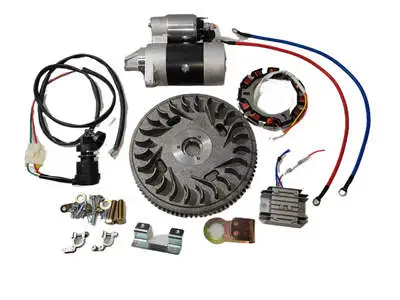 Electric Start Rebuild Kit( With New Flywheel, Stater,Regulator,Switch ...