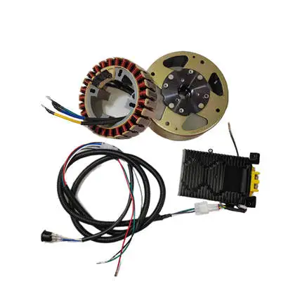 5000W PMG 60V DC Generator (Rotor+Stator) With Automatic Controller and ...