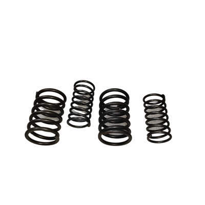 Valve Springs Set (Inner and Outer) For Changchai Changfa Or Similar ...