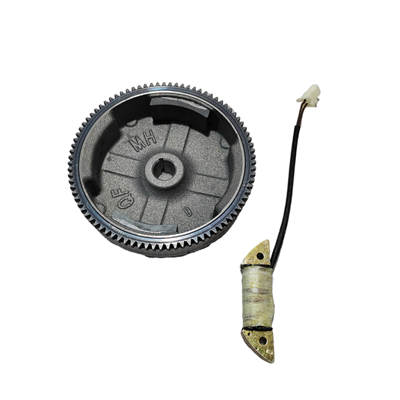 Electric Flywheel And 15W Lighting Coil Kit Fits For Predator Craftsman ...