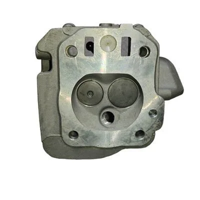 Shredder Aluminum Alloy Casted Cylinder Head Complete With Champion ...