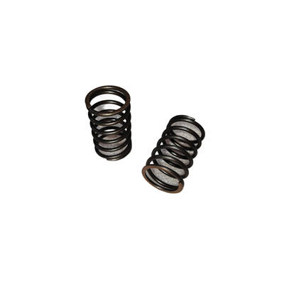 Valve Springs Fit For Loncin G250 252CC Horizontal Gasoline Engine