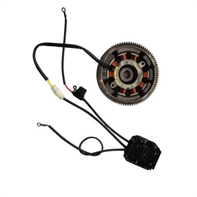 12V 10Amp Flywheel(Ring Gear Type) Stator and Regulator Kit Fits GX200 ...