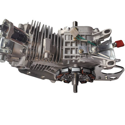 Blackbones, Electric Model Crankcase Assembly With All Internals ...