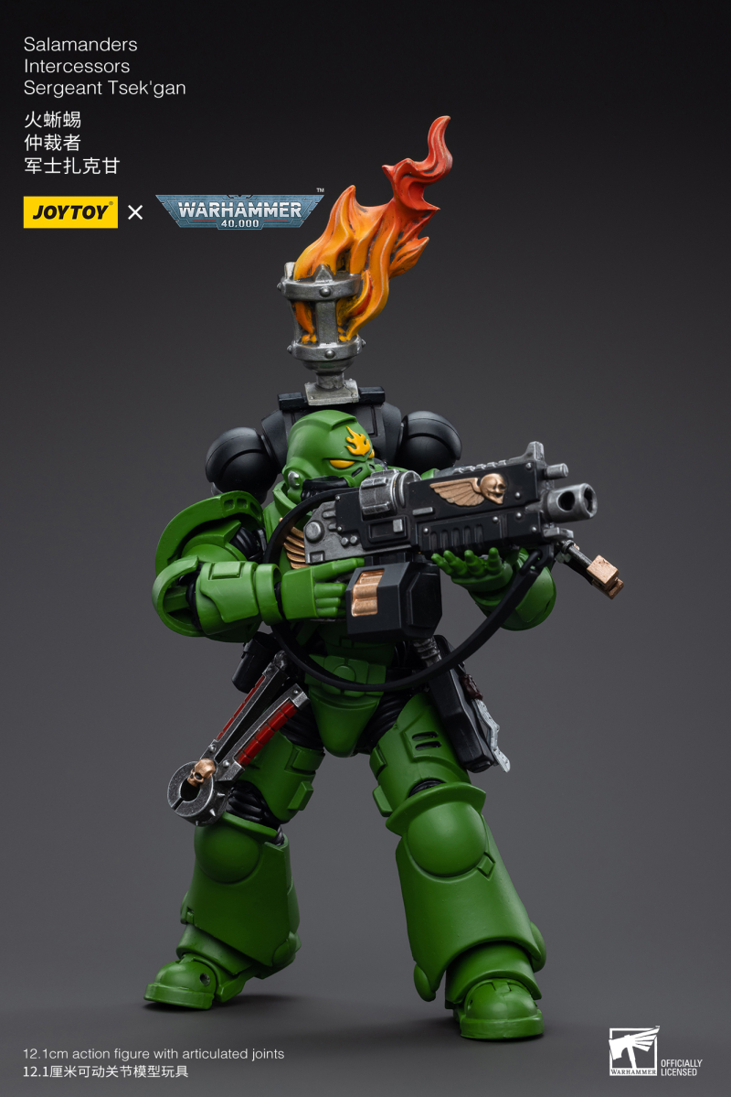 JOYTOY Warhammer 40K Salamanders Intercessors Sergeant Tsek'gan Action ...