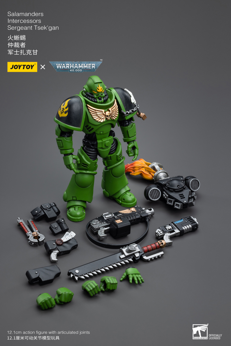 JOYTOY Warhammer 40K Salamanders Intercessors Sergeant Tsek'gan Action ...