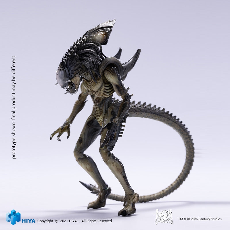 HIYA Exquisite Mini Series ALIEN AVPR Predalien Action Figure