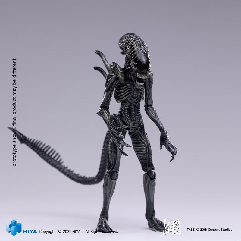 HIYA Exquisite Mini Series ALIEN AVP R Xeno Warrior Action Figure
