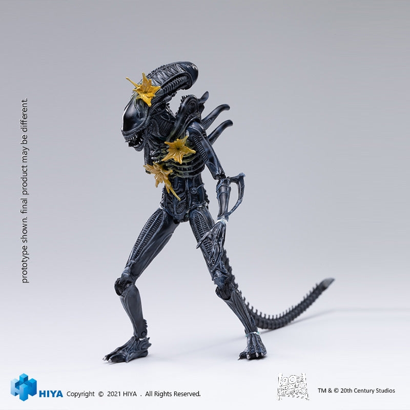 HIYA Exquisite Mini Series ALIENS Battle Damage Alien Warrior Action Figure