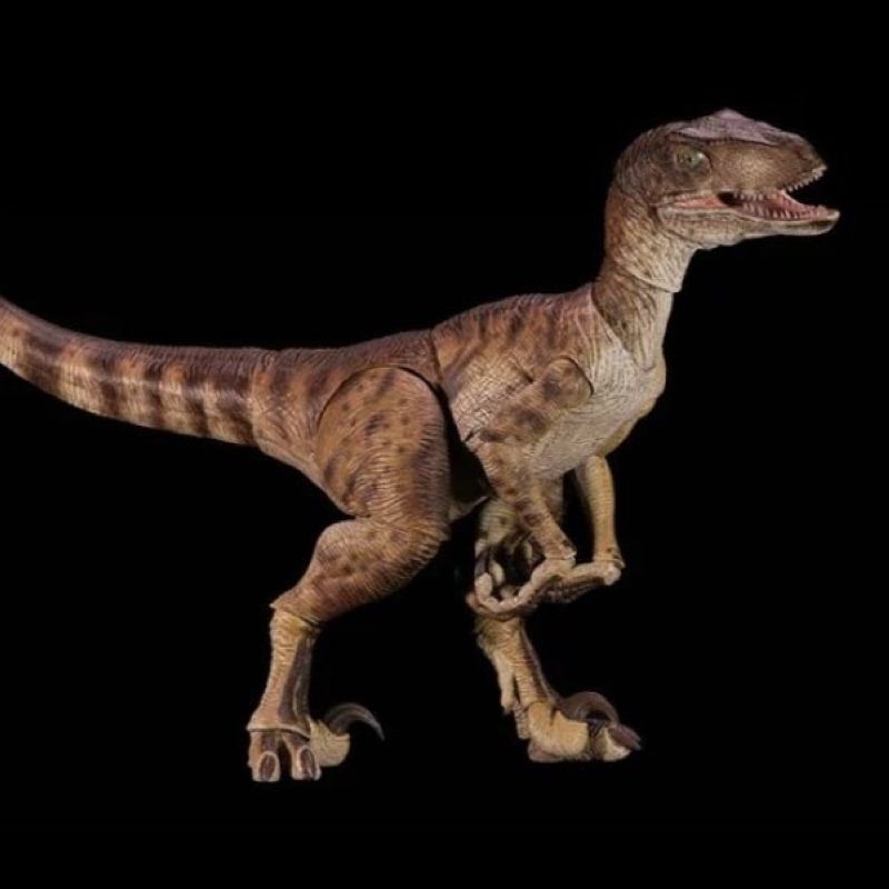 Nanmu Studio Zero-Set Easy Motion Velociraptor 2.5 Shadow Blade